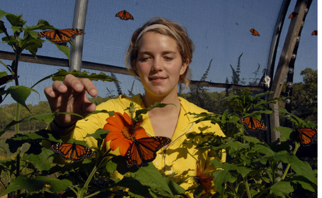 Butterfly pit stop a colorful sight | News, Sports, Jobs - Lawrence ...